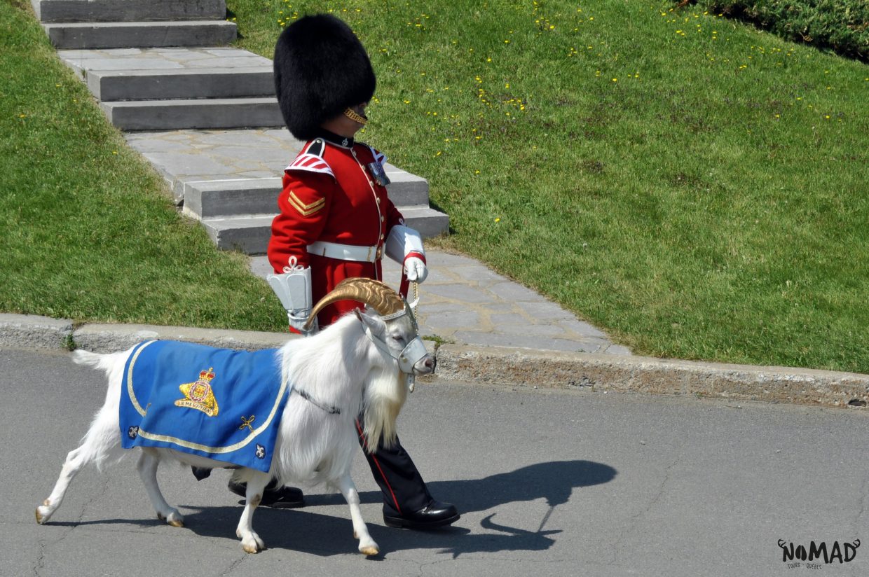 Quebec City's Citadel And Changing Of The Guard Ceremony [2025 Update ...